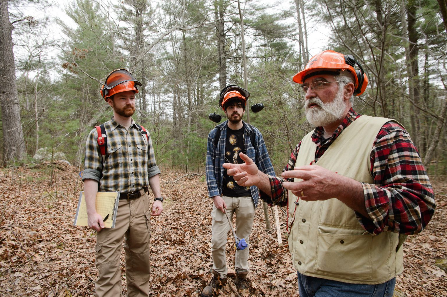 Home | Connecticut Forestry