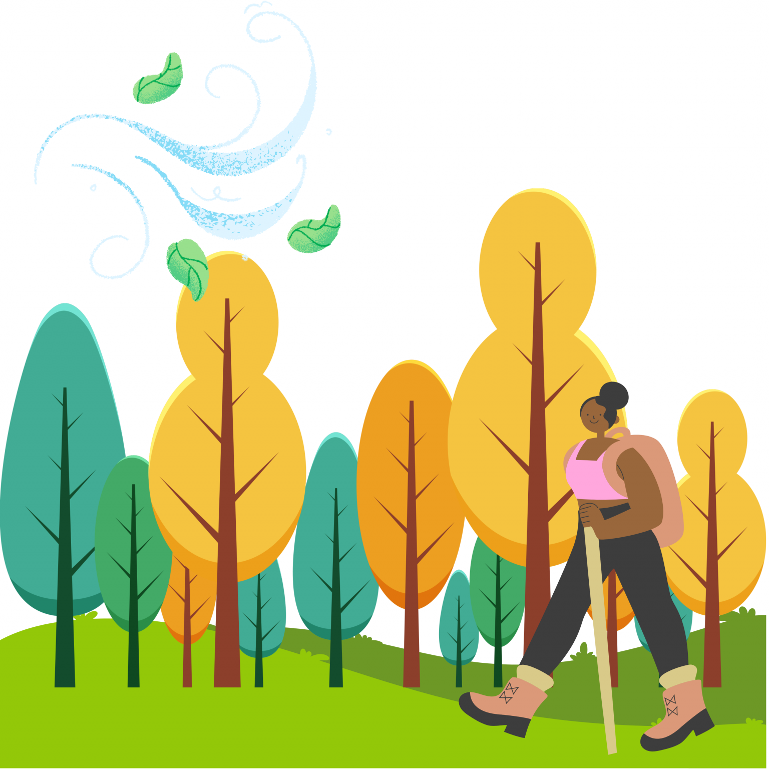 Extension Forestry | Connecticut Forestry